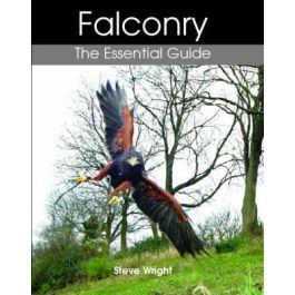 Falconry: The Essential Guide | Stanfords