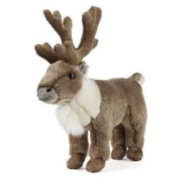 Medium Reindeer Standing | Stanfords