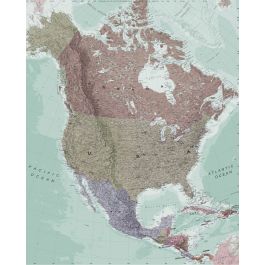 Executive North America Political map | Stanfords