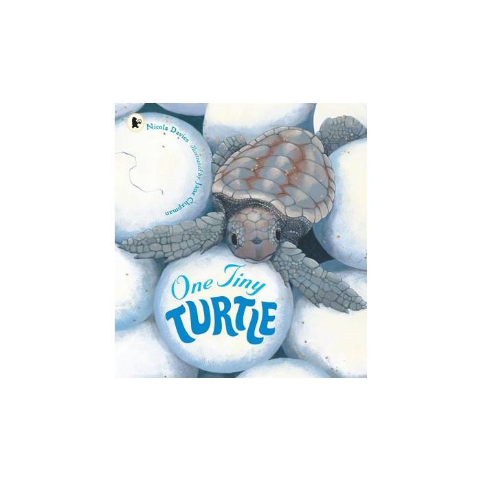 One Tiny Turtle | Stanfords