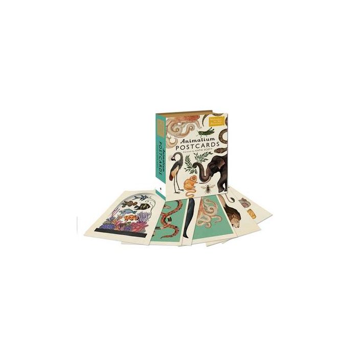 Animalium Postcards | Stanfords