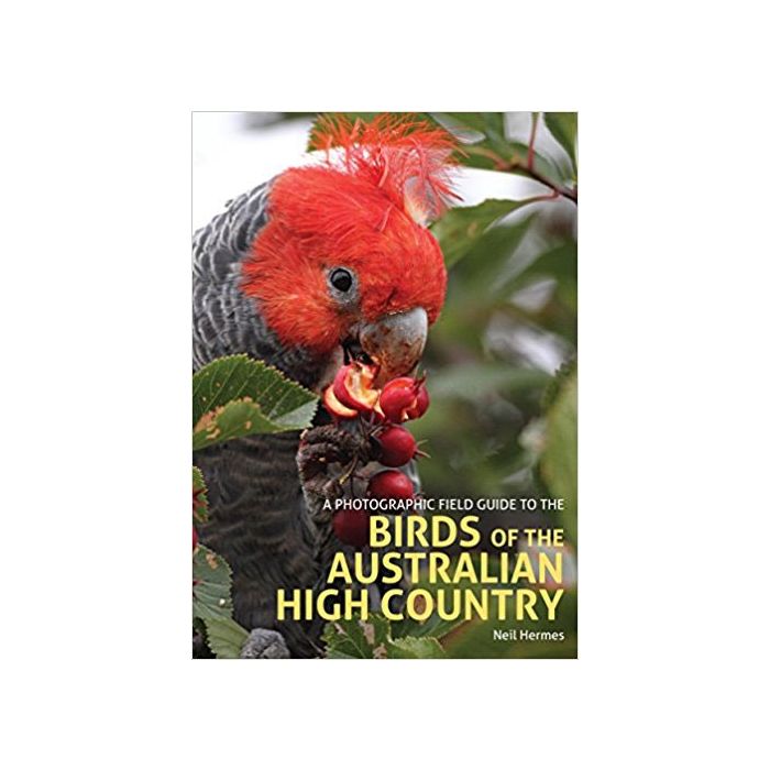 A Photographic Field Guide to the Birds of the Australian High Country ...
