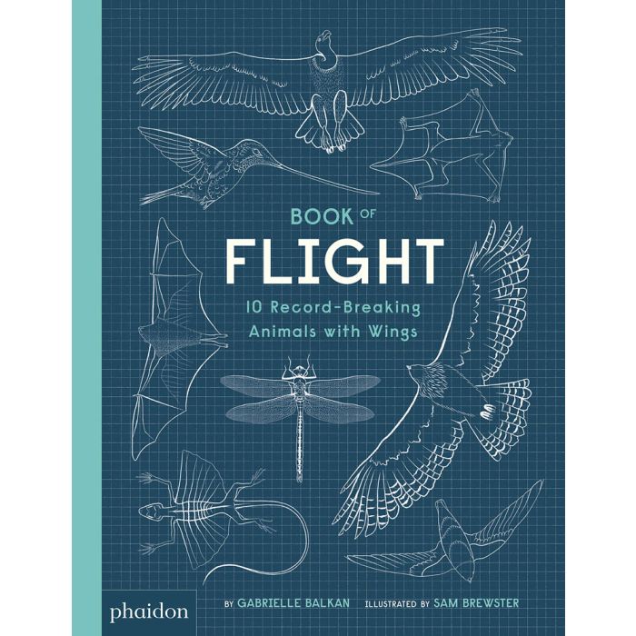 Book of Flight: 10 Record-Breaking Animals with Wings | Stanfords