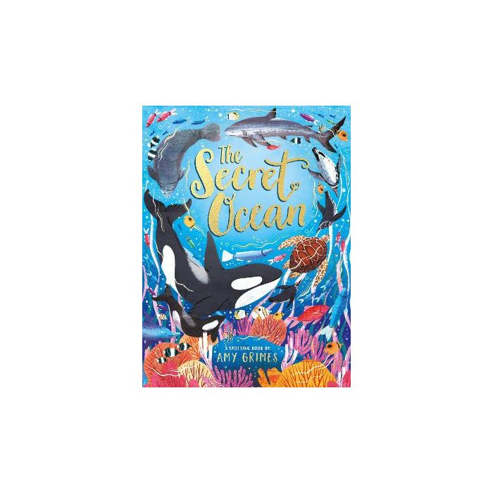 The Secret Ocean | Stanfords