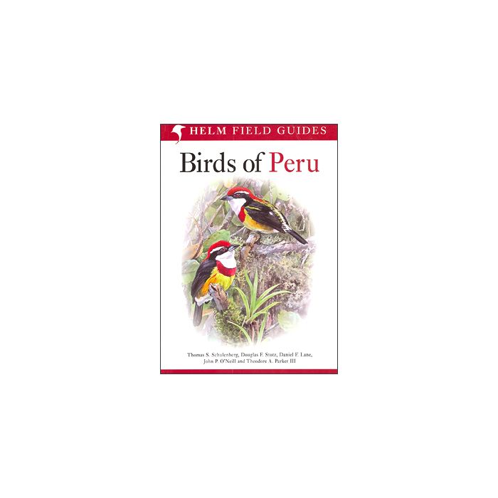 Birds of Peru | Stanfords