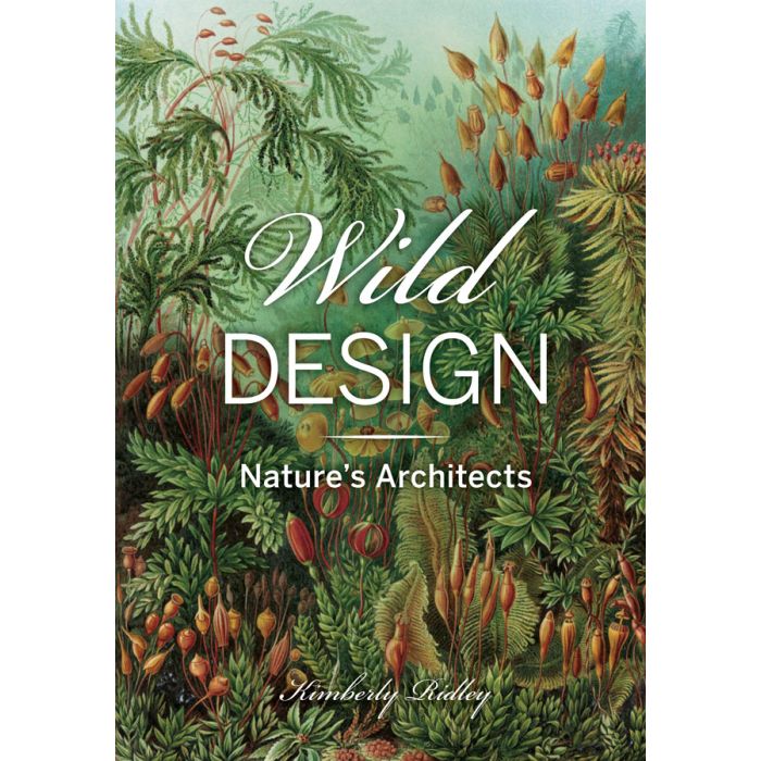 Wild Design: The Architecture of Nature | Stanfords