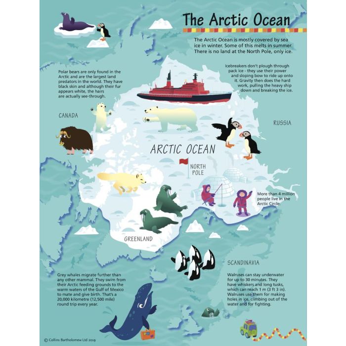 Collins Children's Arctic Wall Map | Stanfords