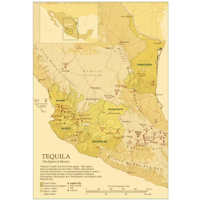 Mexico Tequila Map - A3 | Stanfords