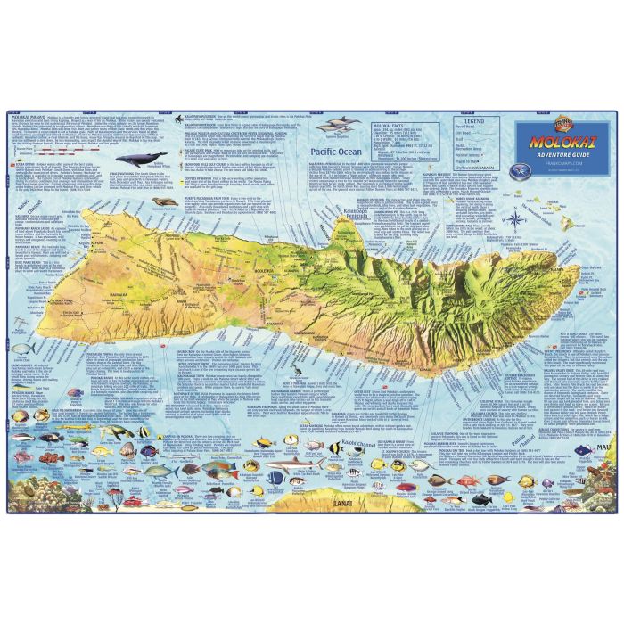 Molokai, Hawaii Wall Map | Stanfords