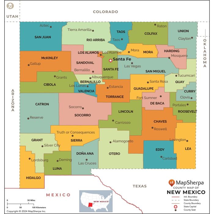 New Mexico Counties Map - Standard | Stanfords