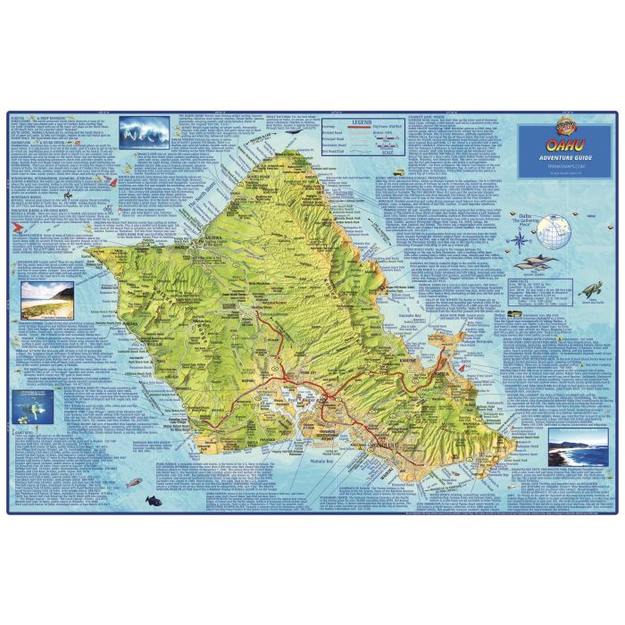 Oahu, Hawaii Wall Map | Stanfords